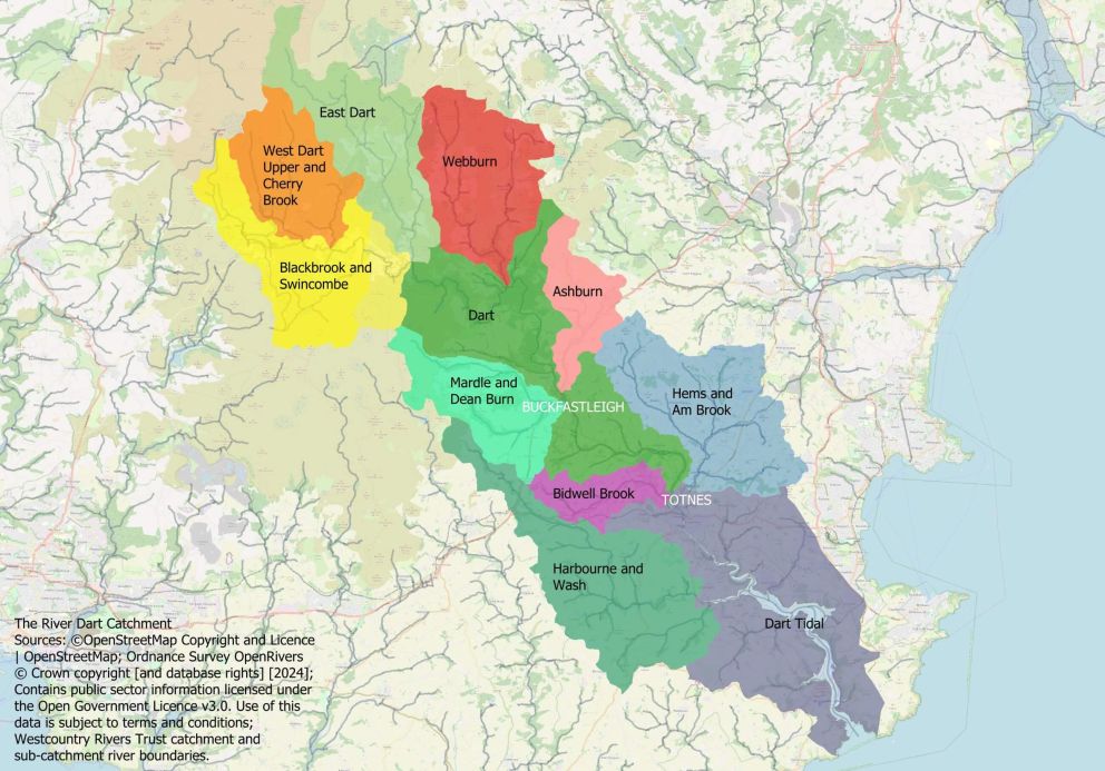 River Dart Catchment Partnership