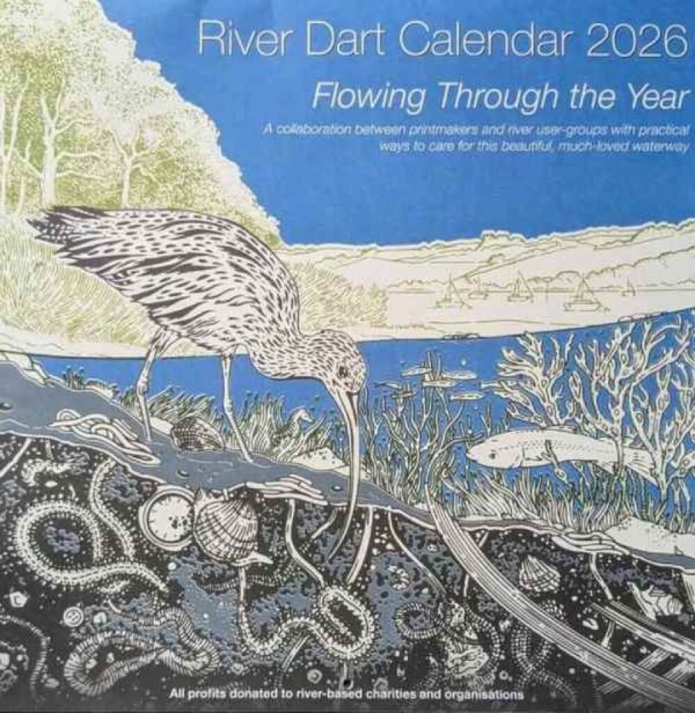 River Dart Catchment Partnership